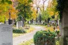 17 Obergiesing – Fasangarten – Landeshauptstadt München